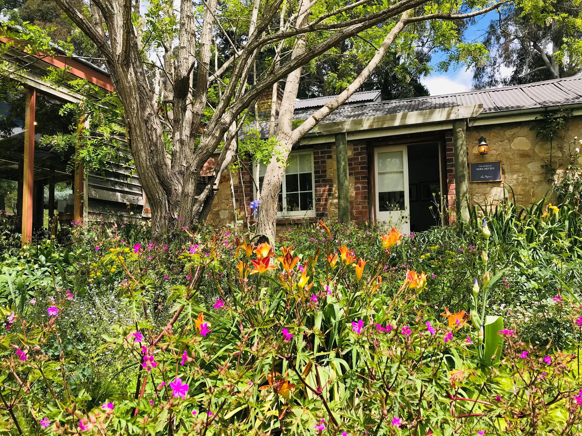 The Garden at The Cedars - Heysen - The Cedars